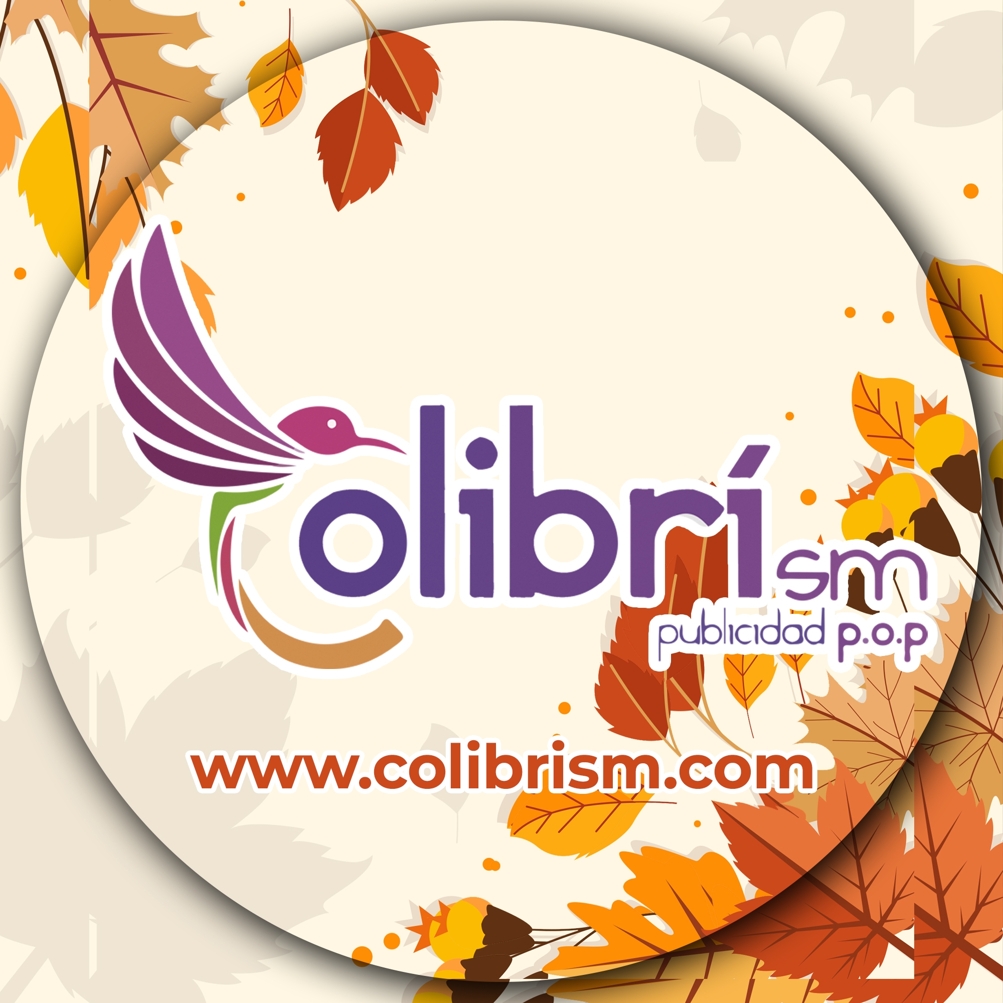 Articulos Publicitarios CDMX-Colibri SM